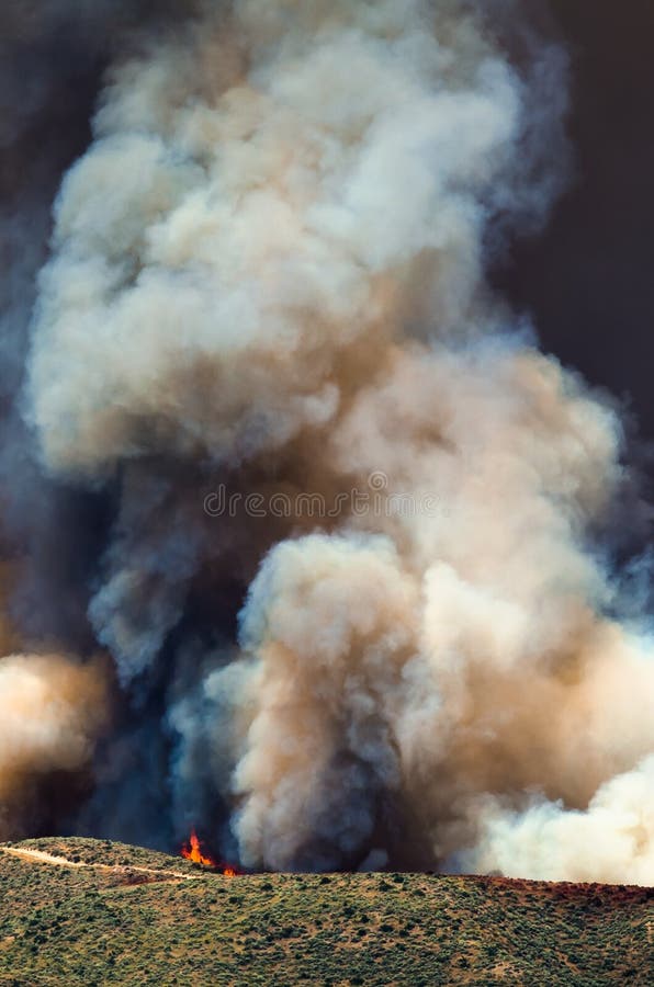 Flames and Dense White Smoke Rising from the Raging Wildfire Stock ...
