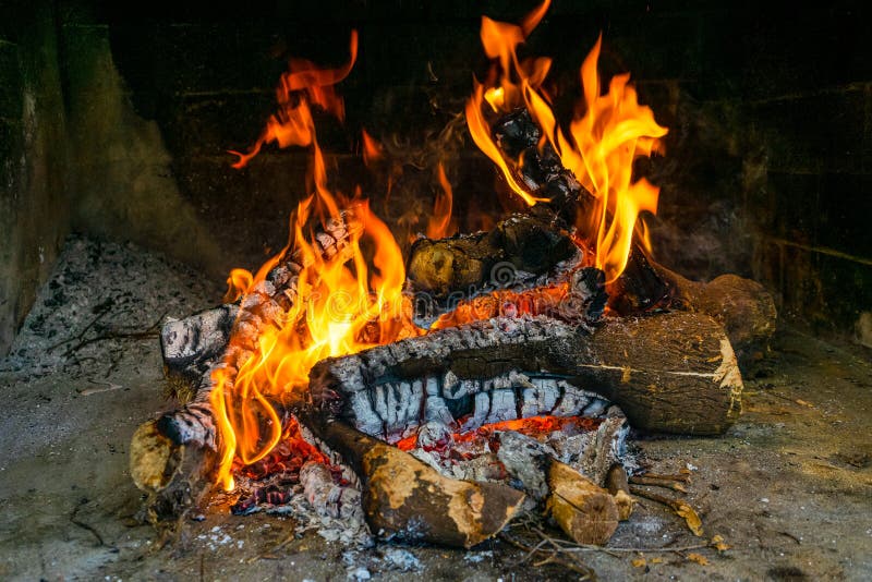 Flames in Different Forms of a Bonfire Made with Orange Tree Trunks ...