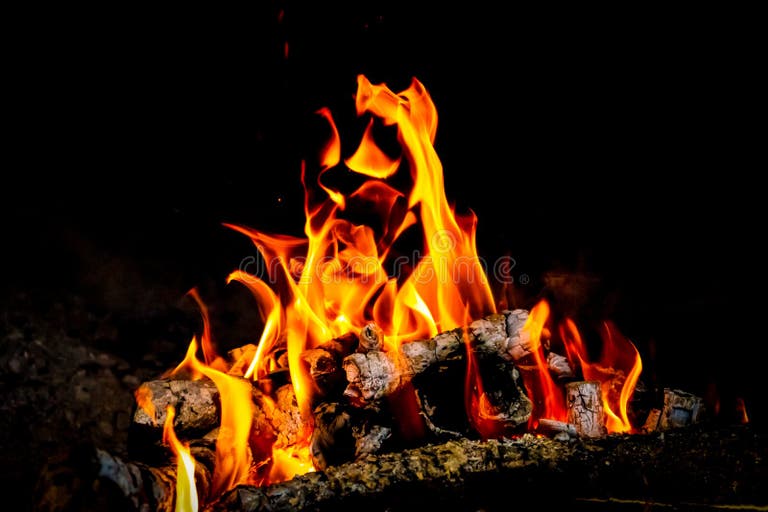 Flames in Different Forms of a Bonfire Made with Orange Tree Trunks ...