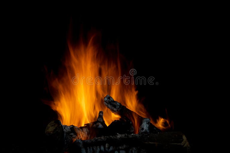 Flames in Different Forms of a Bonfire Made with Orange Tree Trunks in ...