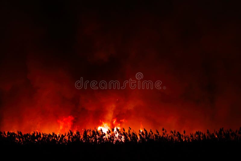Fire Flames Sparks Black Background Burning Dry Grass Forest Stock ...