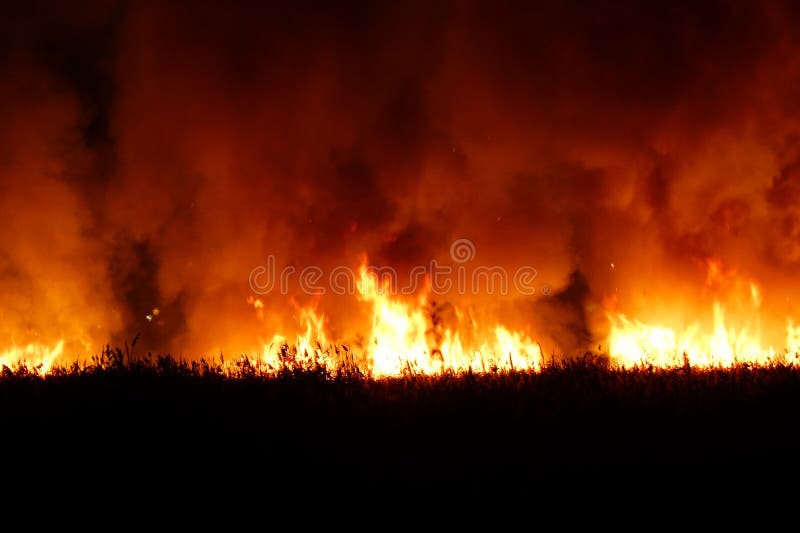 Flames from Dry Grass Fire at Night. Night Fire in the Field Stock ...