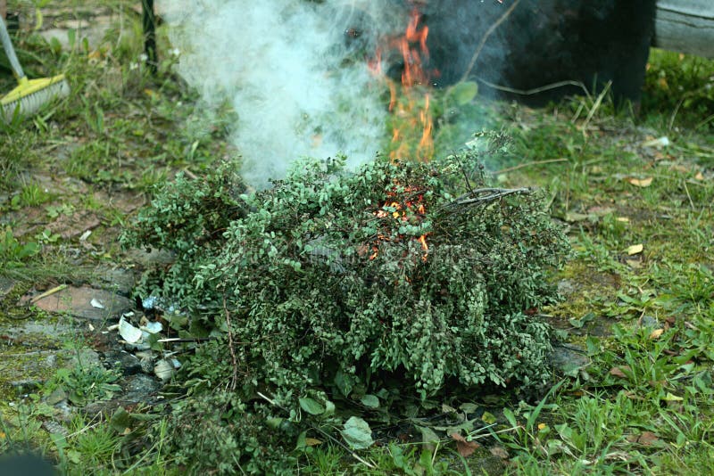 Flames of Fire Burning Bush Stock Photo - Image of camp, campfire ...