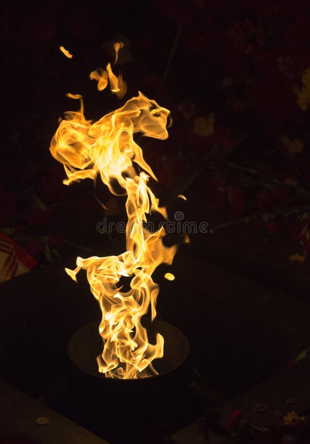 Flames of the fire. stock photo. Image of dark, light - 60725480