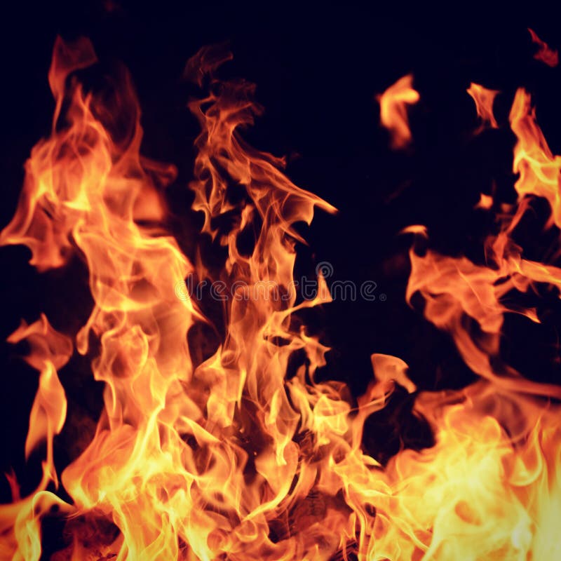 Flames stock photo. Image of heat, flames, fire, flare - 152172782