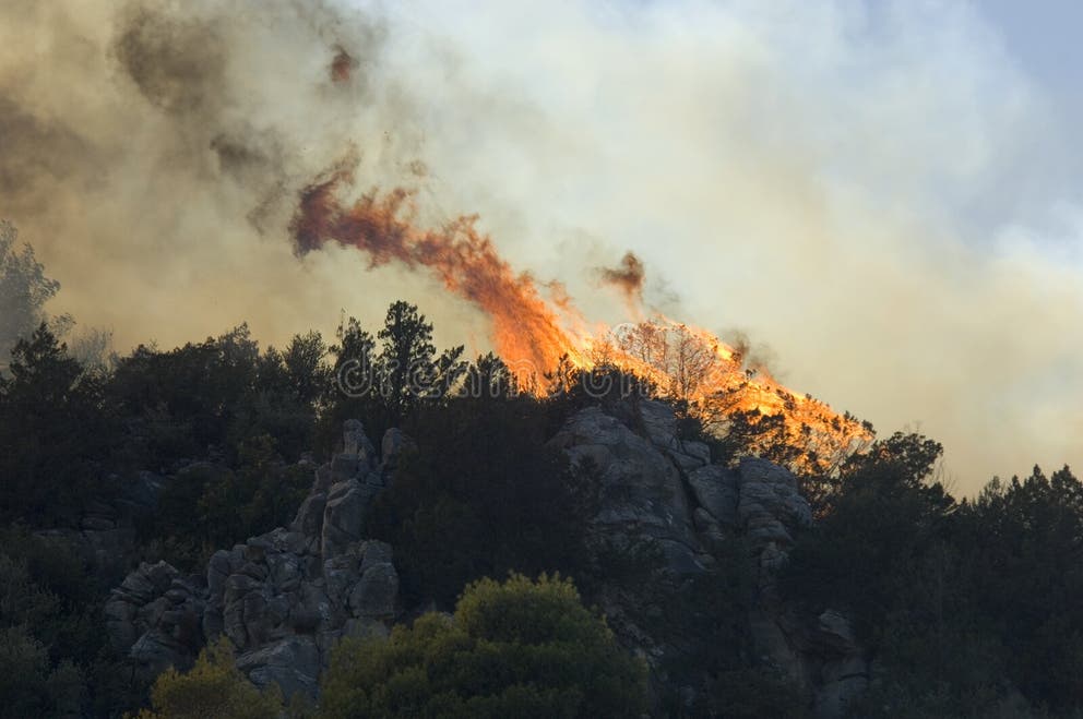 Flames - Forest Burning Athens Editorial Photo - Image of disaster ...