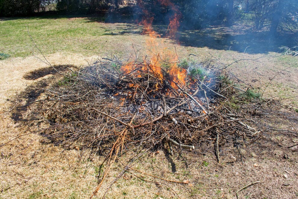 Burning Brush and Branches in the Backyard Stock Photo - Image of coals ...