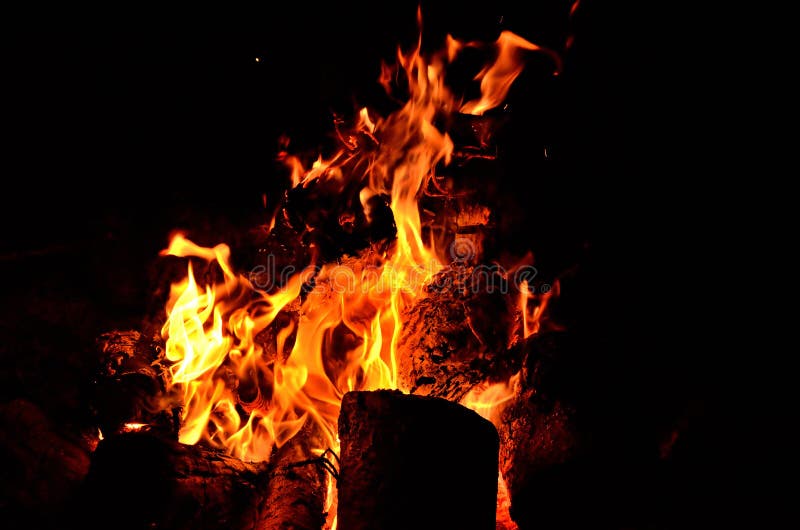 Flames of Natural Fire in Nature while Camping Stock Photo - Image of ...