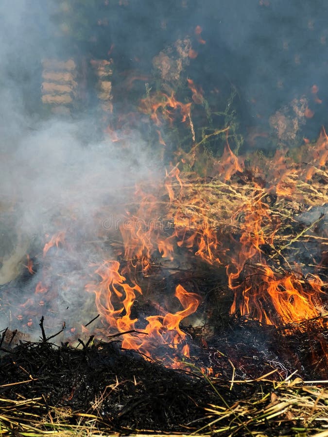 The Flames and Smoke from Burning Hay Pollute the Environment Stock ...
