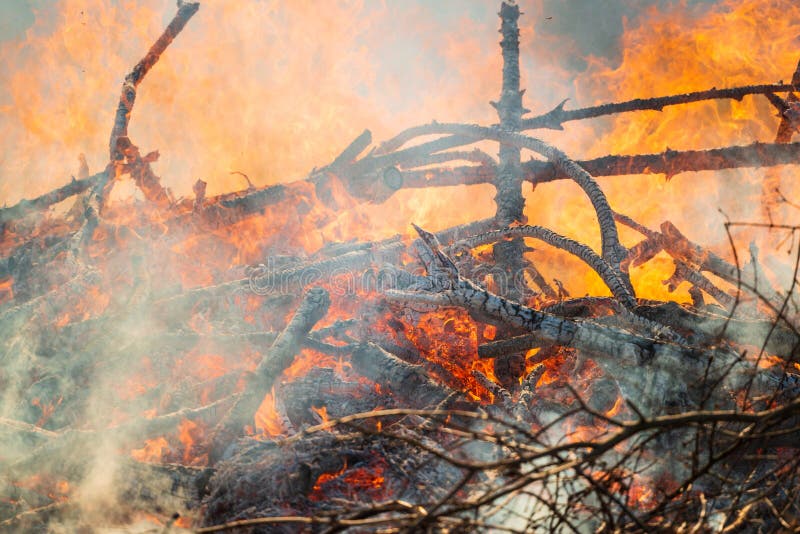 Intense fire stock photo. Image of soil, flames, flame - 208909706