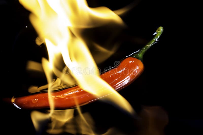 Flaming chilli stock image. Image of burnt, jalapeno - 35163097