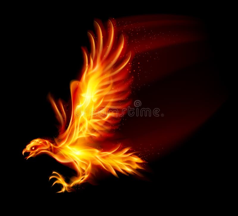 Burning Wings stock vector. Illustration of decorative - 26181576