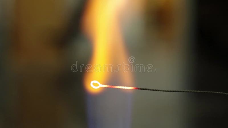 Microbiology Wire Stock Footage & Videos - 69 Stock Videos