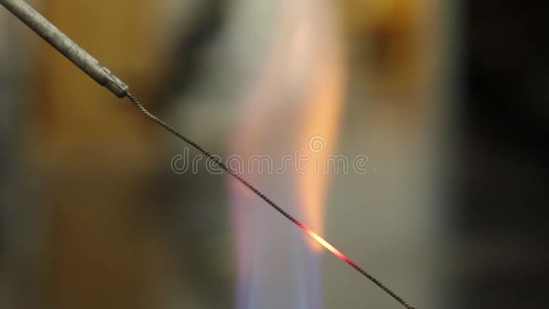 Flaming a Microbiology Wire Loop Stock Footage - Video of burning ...