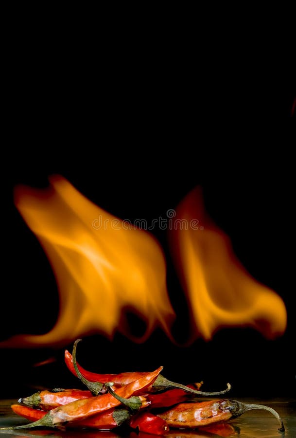 Flaming Red Hot Peppers stock image. Image of chili, flaming - 12018327