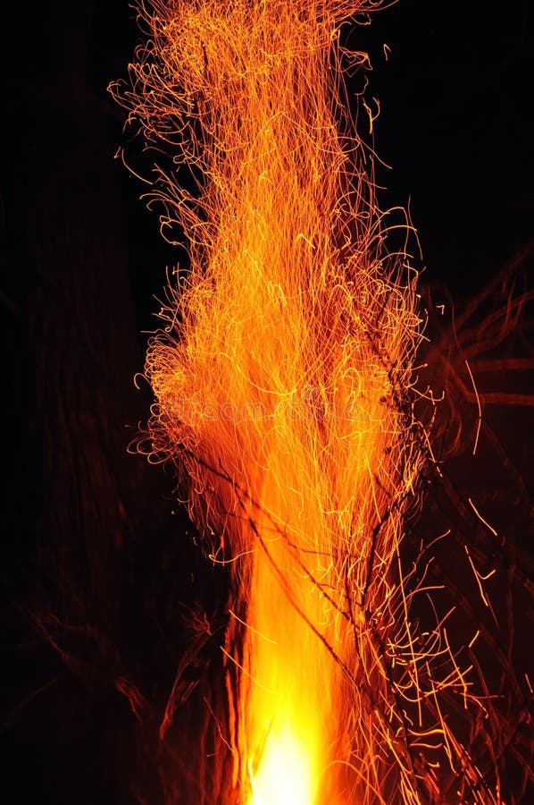 Flaming tree in the dark stock photo. Image of danger - 199067974