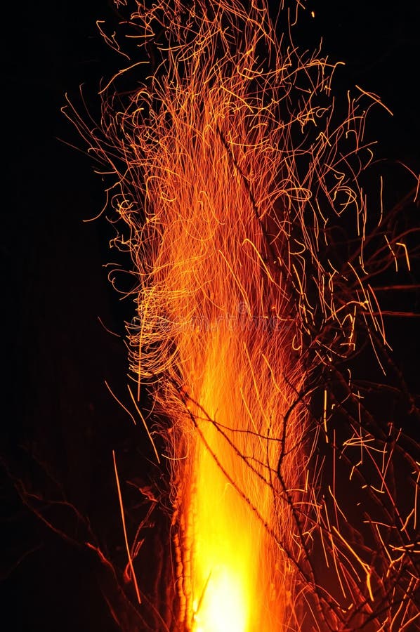 Flaming tree in the dark stock image. Image of light - 199067975