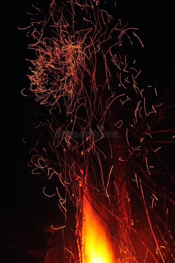 Flaming tree in the dark stock image. Image of dark - 199067977