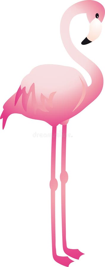 Cartoon Pink Flamingo Running Stock Vector - Illustration of vector ...
