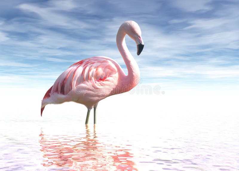Magic flamingos stock image. Image of fantasy, card, fairy - 13580291