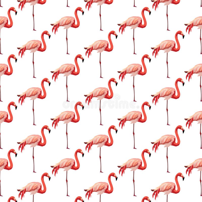 Flamingo birds pattern stock vector. Illustration of banner - 75794641
