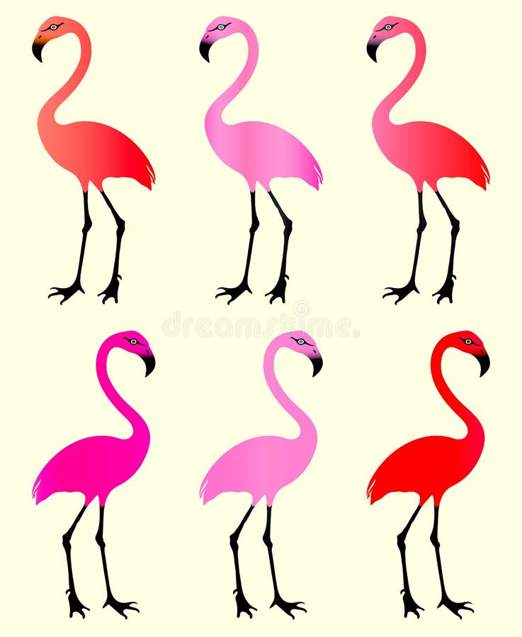 Flamingo. 6 Color Variations Stock Vector - Illustration of elegant ...