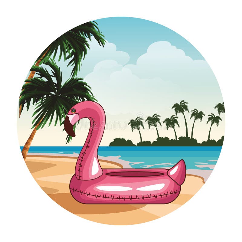 Flamingo float summer stock vector. Illustration of decoration - 135027122