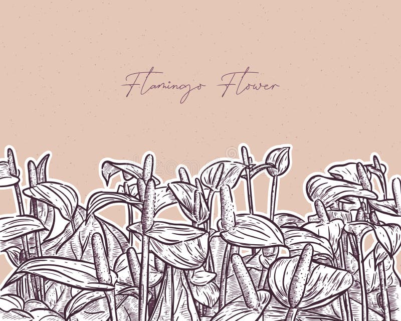 Flamingo Flower, Hand Draw Sketch Vector Stock Vector - Illustration of ...