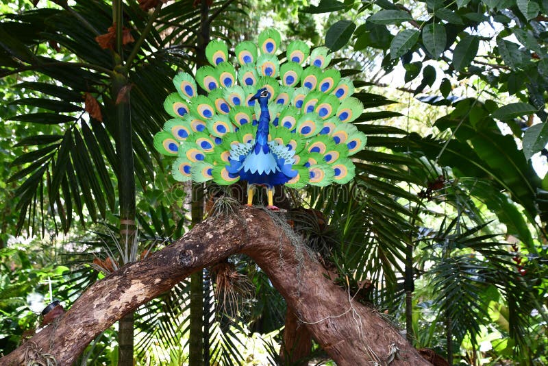 Flamingo Gardens in Davie, Florida Editorial Stock Photo - Image of ...