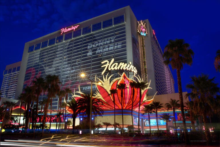 2,855 Hotel Flamingo Galapagos Stock Photos - Free & Royalty-Free Stock ...