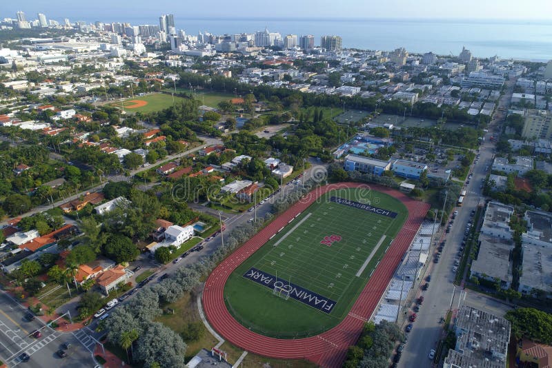 Flamingo in Miami zoo stock image. Image of wild, america - 24285857