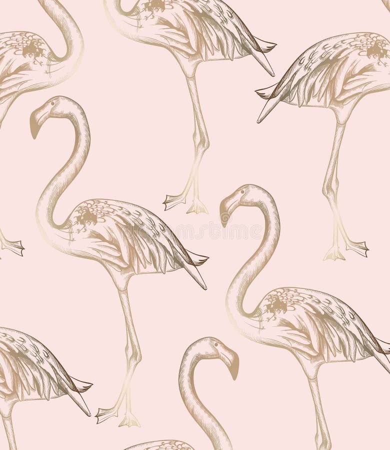 Flamingo Pattern Vector. Vintage Retro Texture Line Art Decors Stock ...