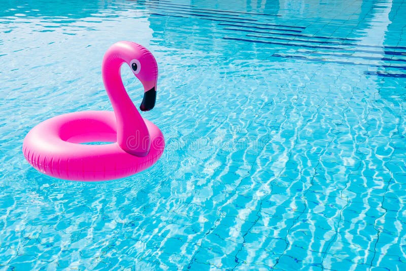 Flamingo Plastic. Pink Inflatable Flamingo in Pool Water for Beach ...
