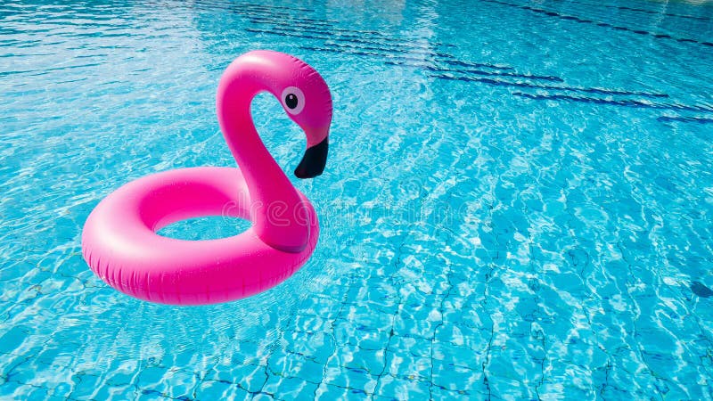 Flamingo Plastic. Pink Inflatable Flamingo in Pool Water for Beach ...