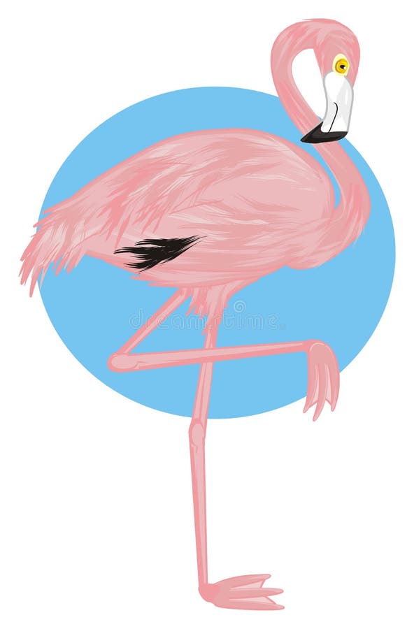 Flamingo Und Blaues Zeichen Stock Abbildung - Illustration von ...
