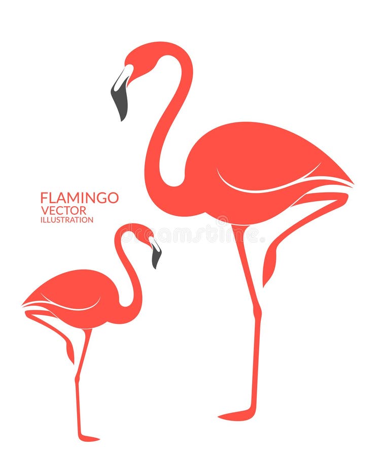 Flamingo Stock Illustrations – 49,900 Flamingo Stock Illustrations ...
