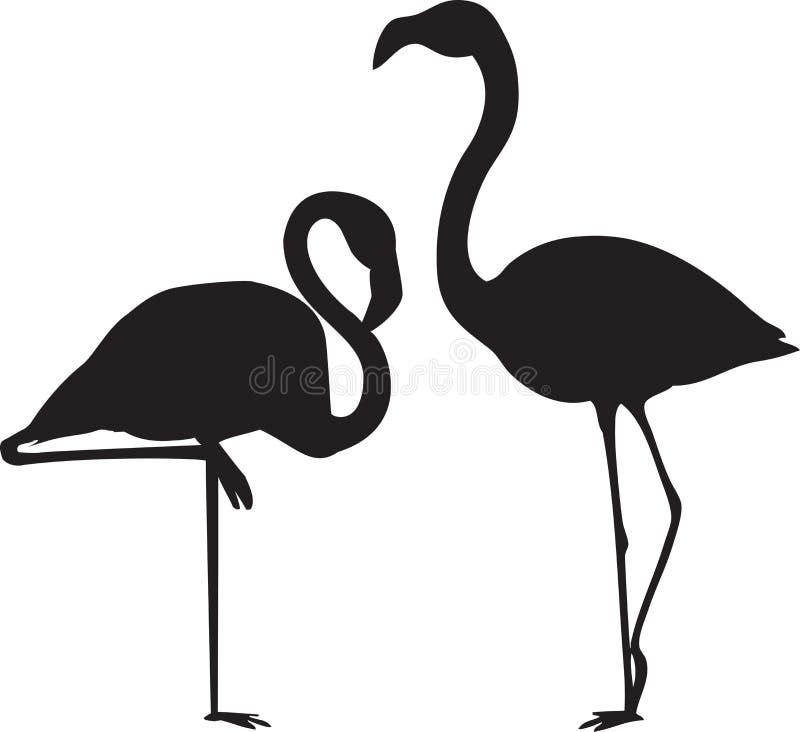 Flamingo Vectors stock vector. Illustration of birds - 15529437
