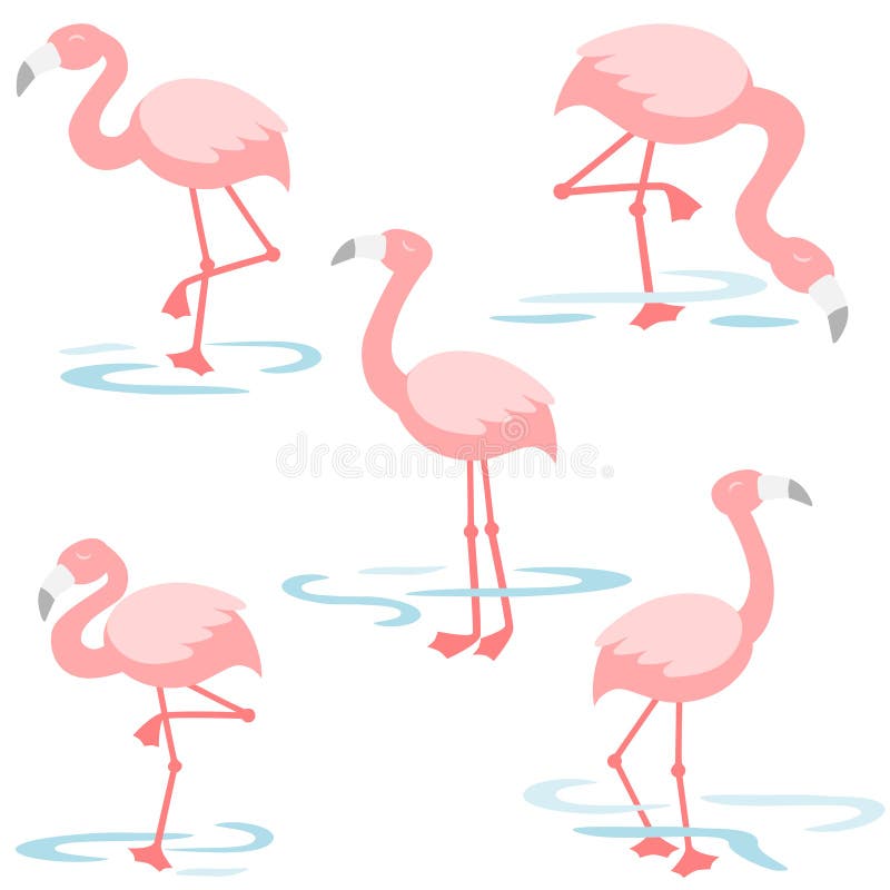Red Flamingo Walking Motion Animation Sequence Cartoon Vector ...