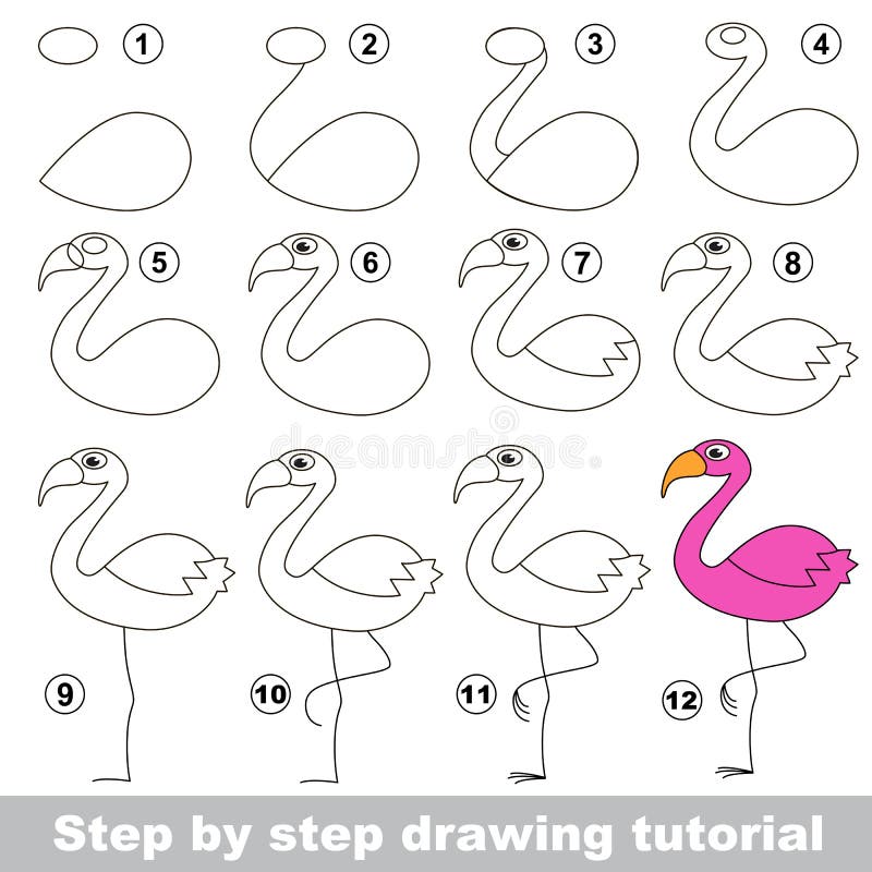 Flamingo Zeichnendes Tutorium Vektor Abbildung - Illustration von ...