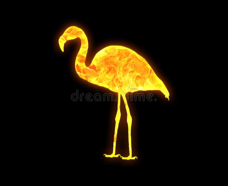 Flamingo Fire Stock Illustrations – 50 Flamingo Fire Stock ...