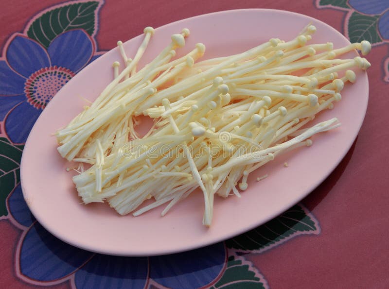 Flammulina Velutipes stock photo. Image of closeup, japanese - 56713566