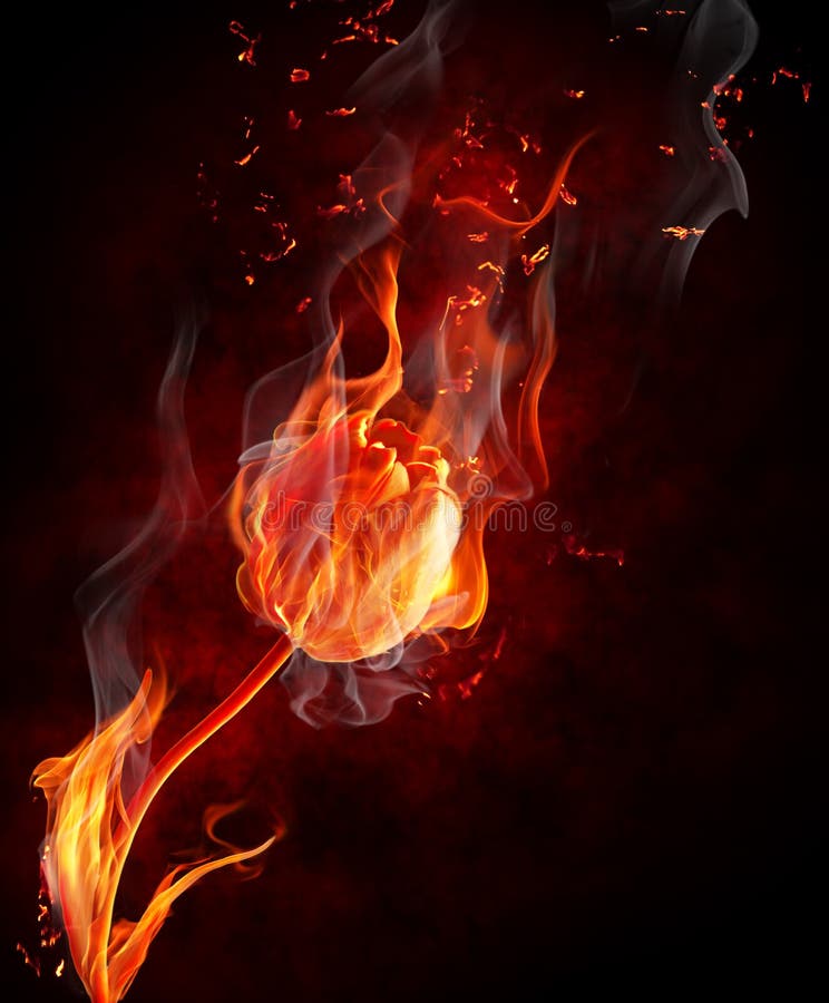 Flamy symbol stock photo. Image of science, heat, idea - 11145726