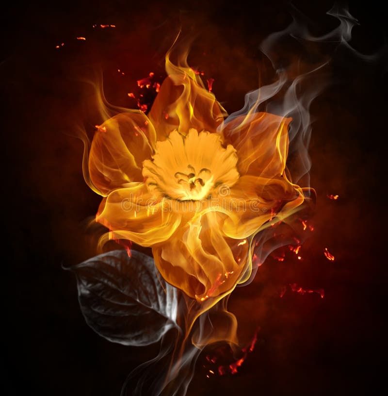 152 Flamy Symbol Stock Photos - Free & Royalty-Free Stock Photos from ...