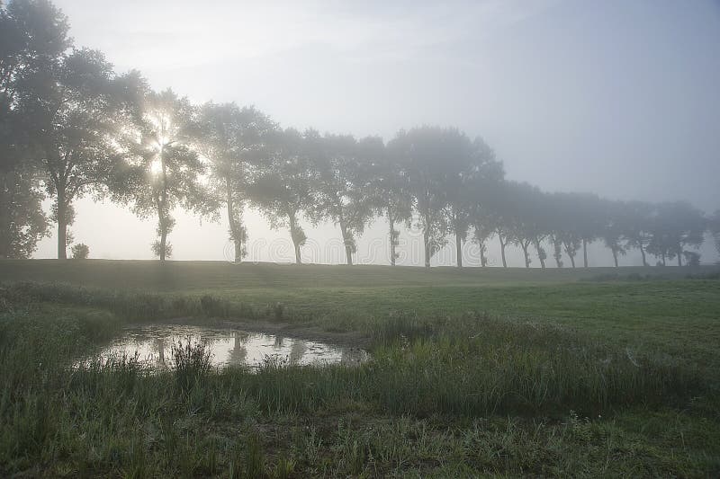 Flanders landscape stock photo. Image of rise, meadow - 49823496