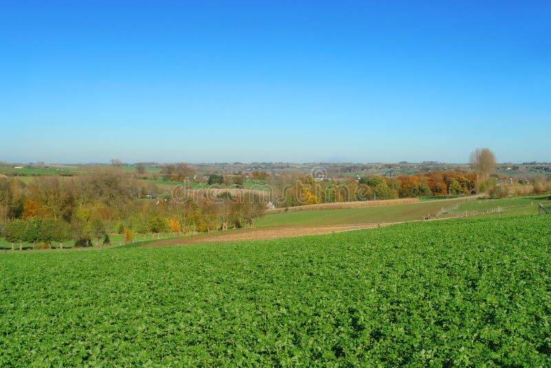 In Flanders Fields. stock photo. Image of industry, harvest - 1813402