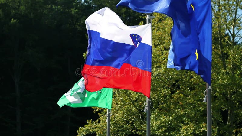 Flapping flags stock footage. Video of contemporary, labor - 68901580