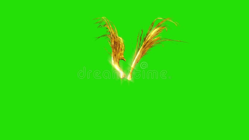 Flapping Gold Wings Loop Green Screen 3D Renderings Animations Stock ...