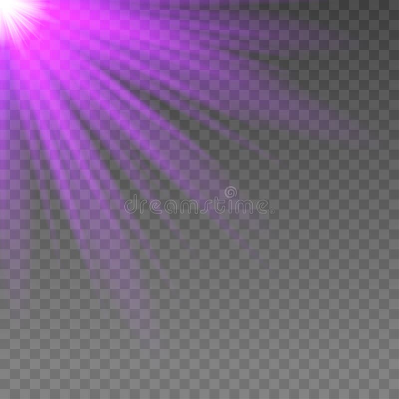 Flare of Purple Light Rays Element. Vector Illustration with Shining ...