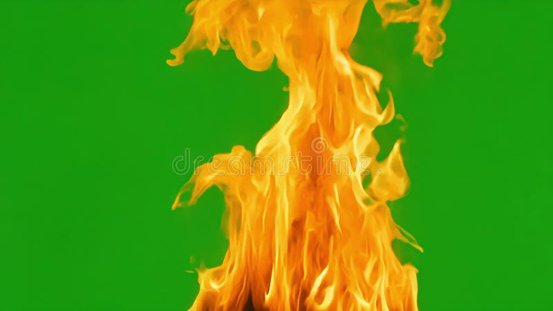 A Flash of Bright Light Heralds a Burst of Dynamic Fire Patterns. Green ...