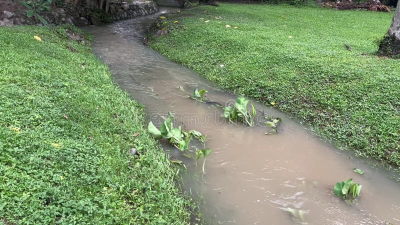 Flash Concrete Flood Gate beside Stream in Rural Public Park Stock ... Flash Concrete Flood Gate beside Stream in Rural Public Park Stock ...